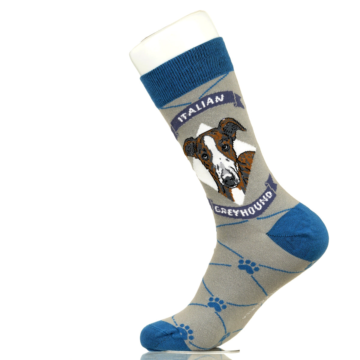 Italian Greyhound | Argyle Pups – Sock Atomica