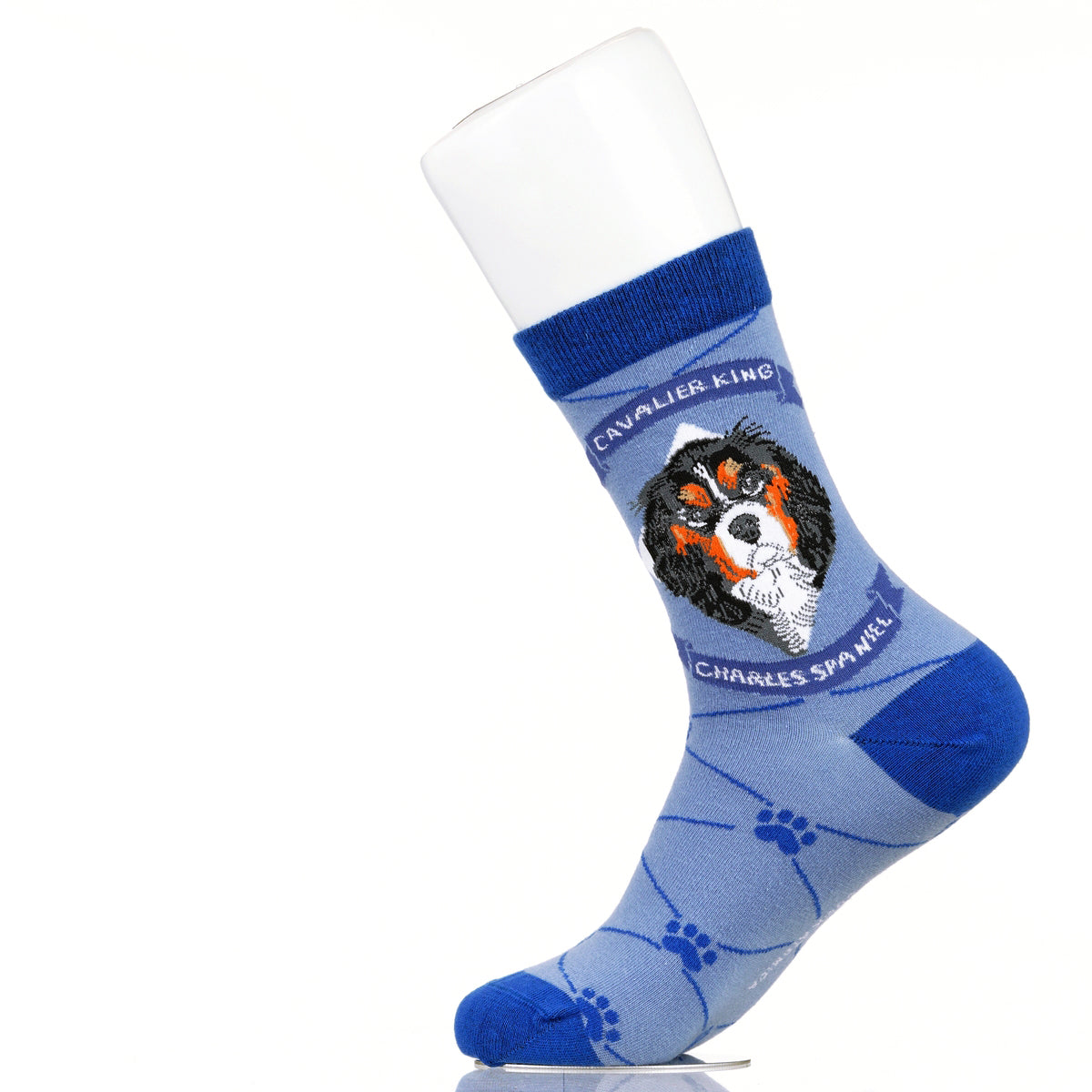 Cavalier King Charles Spaniel | Argyle Pups – Sock Atomica