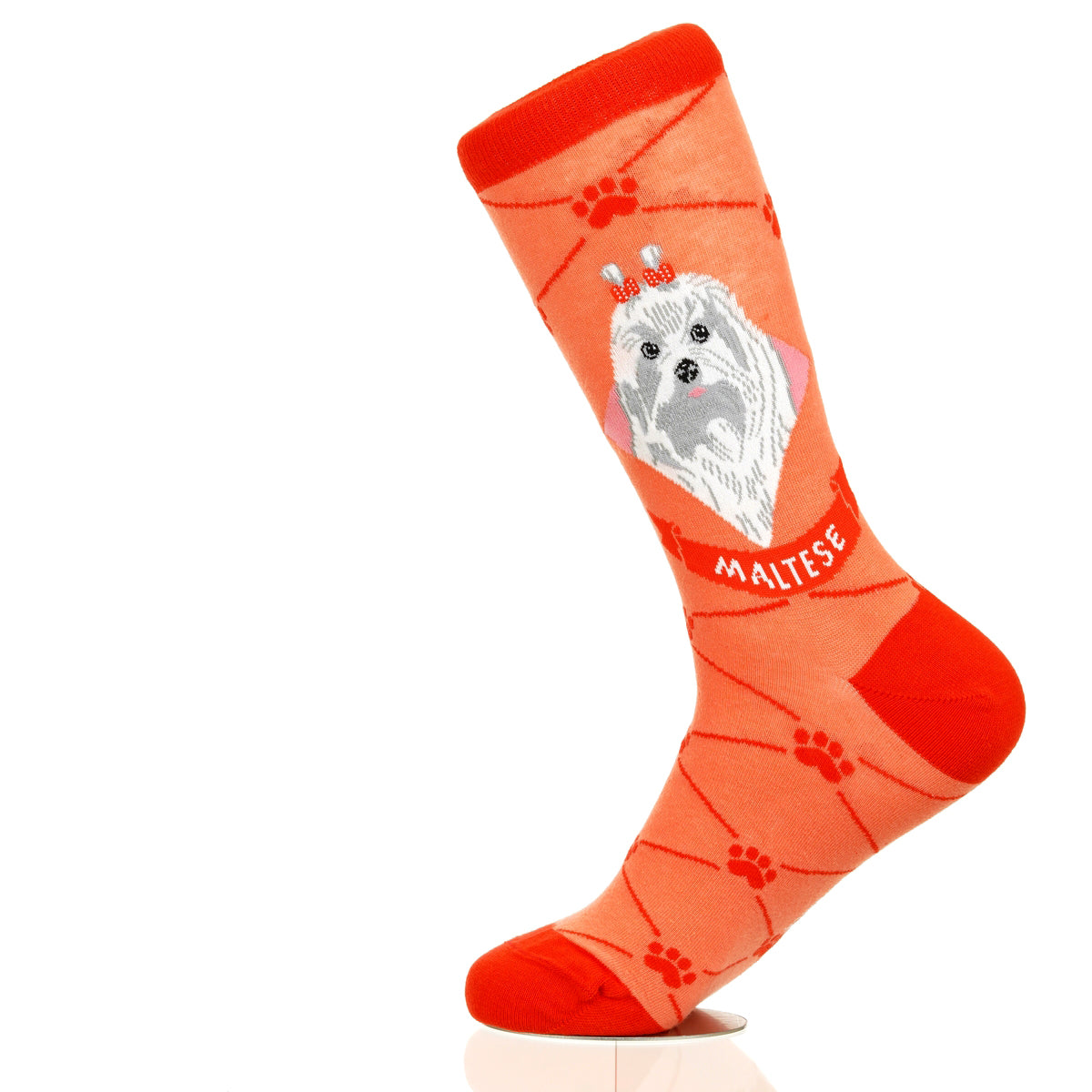 Maltese | Argyle Pups – Sock Atomica