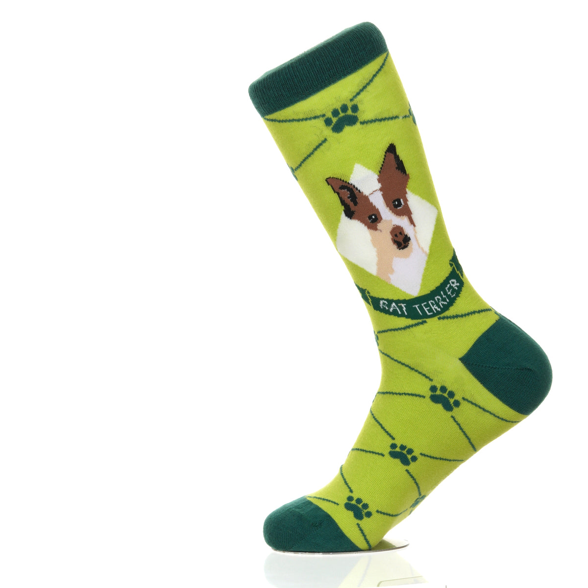 Rat Terrier | Argyle Pups – Sock Atomica